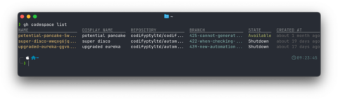 Mastering GitHub Codespaces CLI: A Developer's Guide - Codify